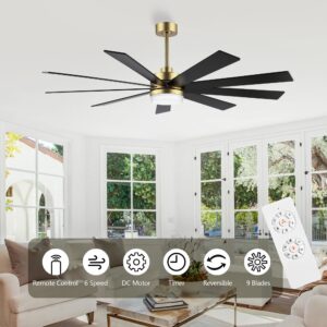 LEDLUX 65" DC Motor Ceiling Fan with Light, 6-Speed Remote Control, Reversible Motor, Modern 9 Blades Ceiling Fan with 4.5"/12" Downrods for Home or Commercial Black/Gold