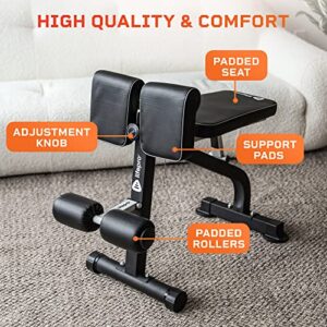 LifePro Multipurpose Roman Chair - Foldable Back Extension Bench & Ab Bench Workout Chair- Versatile At-Home Hyperextension Bench & Ab Chair for Whole-Body Training (Grey)