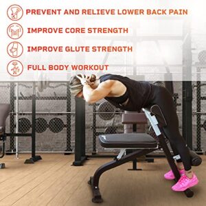 LifePro Multipurpose Roman Chair - Foldable Back Extension Bench & Ab Bench Workout Chair- Versatile At-Home Hyperextension Bench & Ab Chair for Whole-Body Training (Grey)