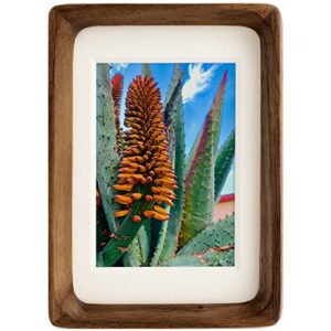 natural wood photo frames inspired tabletop picture frame with mat, vertical or horizontal display (walnut, 11x14 matted to 5x7/8x10)