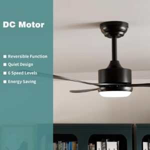 OUATER Modern Ceiling Fan with Lights, 52 inch, 6 Speed, DC Motor, Black, for Bedroom/Outdoor/Farmhouse/Patios