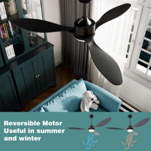 OUATER Modern Ceiling Fan with Lights, 52 inch, 6 Speed, DC Motor, Black, for Bedroom/Outdoor/Farmhouse/Patios