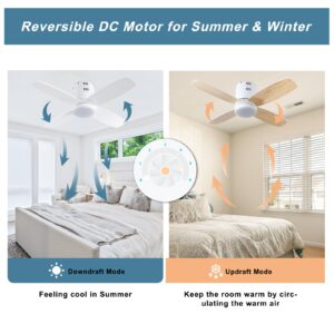 Ohniyou Ceiling Fan with Lights - 38'' Small Low Profile Ceiling Fans Remote & APP Control - Dimmable Indoor Outdoor Quiet DC Flush Mount Ceiling Fan for Patio Kitchen Dining Room Bedroom(White)