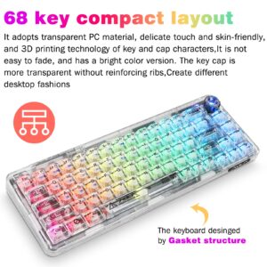 CC MALL 60% Transparent Mechanical Keyboard with Clear Keycaps,Gasket Hot Swappable Custom Wireless Keyboard,RGB Backlit Gaming Keyboard,2.4G/Type-C/Bluetooth Mechanical Keyboard(White)