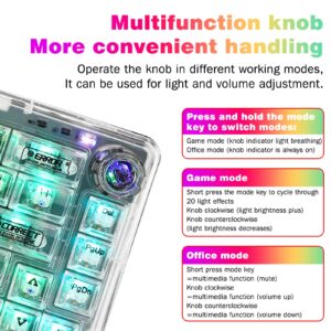 CC MALL 60% Transparent Mechanical Keyboard with Clear Keycaps,Gasket Hot Swappable Custom Wireless Keyboard,RGB Backlit Gaming Keyboard,2.4G/Type-C/Bluetooth Mechanical Keyboard(White)