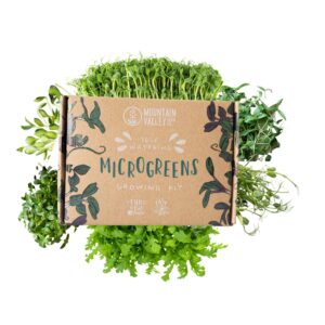 organic indoor microgreens growing kit - grow purple radish, spicy salad, & broccoli microgreens - includes self watering tray, coco coir soil, humidity dome, spray bottle, white surround display tray