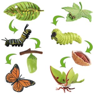 iftnotea 8pcs monarch butterflies life cycle toy figurines for kids with actias ningpoana figure - caterpillar to butterfly kit growth montessori toy for 3 4 5 6 years old