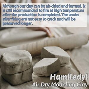 Hamiledyi 6.6LB Natural Air Dry Clay Self Hardening Pottery Clay Oven Bake Clay All Purpose Modeling Clay for Sculpting Ceramic DIY Art Class for 15+ Years Old (Light Gray)