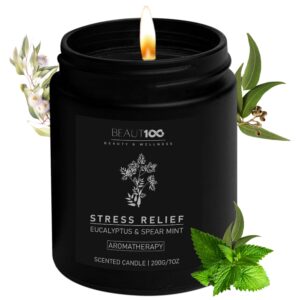 beaut100 stress relief candle | scented candles for men & women | aromatherapy candle, long lasting relax soy candles for home | candles gift for women & men.