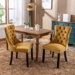 Rhomtree Set of 4 Velvet Fabric Dining Chairs Luxury Tufted Back with Nailed Trim and Back Ring Pull Home Kitchen Dining Room Chairs Armless Side Chairs Solid Rubber Wood Legs (Gold)