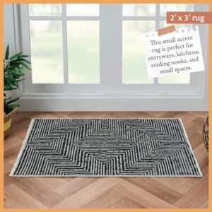 Indigo Ink - Washable Area Rug, Stain Resistant, Easy to Clean, Black/White Geometric Boho Decor, Dorm Room Essentials, for Living Room, Bedroom, Office (2' x 3', Panther Collection)