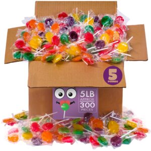 lollipops individually wrapped - 5 pounds - classic flat lollipops for kids - round lolly pops - assorted fruit flavors lolipops - lollipop candy suckers - bulk summer camp lollipops - church candies