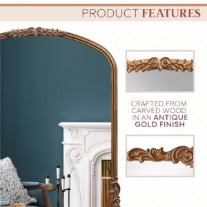 Wylde Iris 28.4x35 Inch English Estate Carved Arch Wood Wall Mirror, Antique Gold, Mirror for Entryway, Living Room, Bathroom