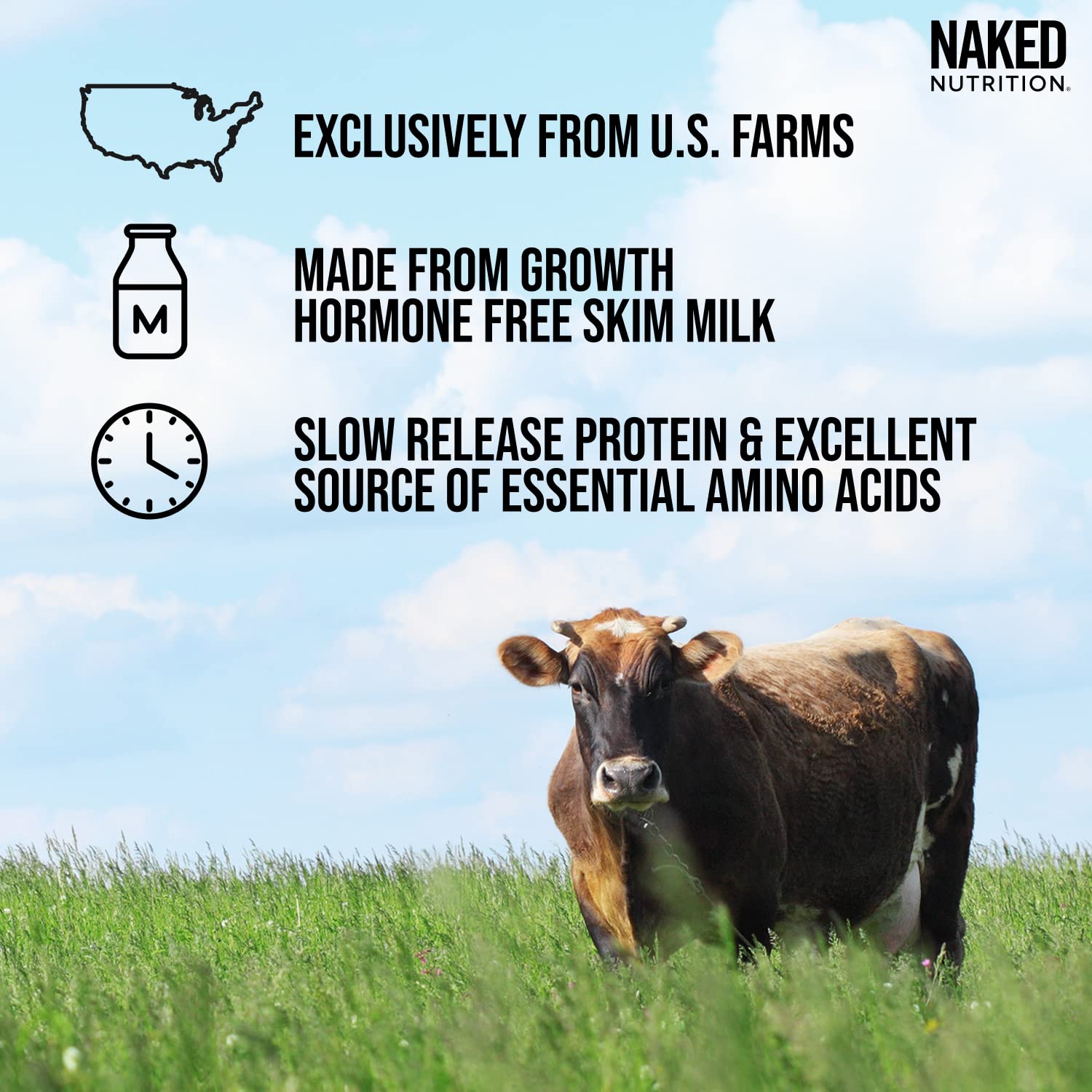 NAKED Grass Fed Protein Bundle: 1LB Casein and 1LB Vanilla Whey