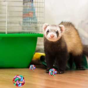 3 Pack Ferret Toys Balls - Colorful Bouncy Rubber Balls with Built-in Bell Ferret Teeth Grinding Wiggle Ball Interactive Sound Toy Exercise Scratch Chew Toys for Indoor Pet Ferret Cat Dog (3 Pack)