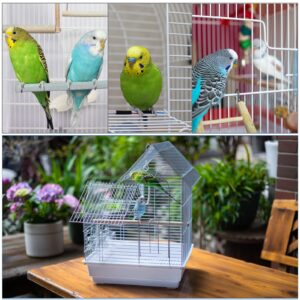 Capuca Small Bird Travel Cage - The Lightweight Small Birds Starter Kit with Birdcages and Accessories Great for Parakeets Lovebirds Parrotlets Finches Canaries