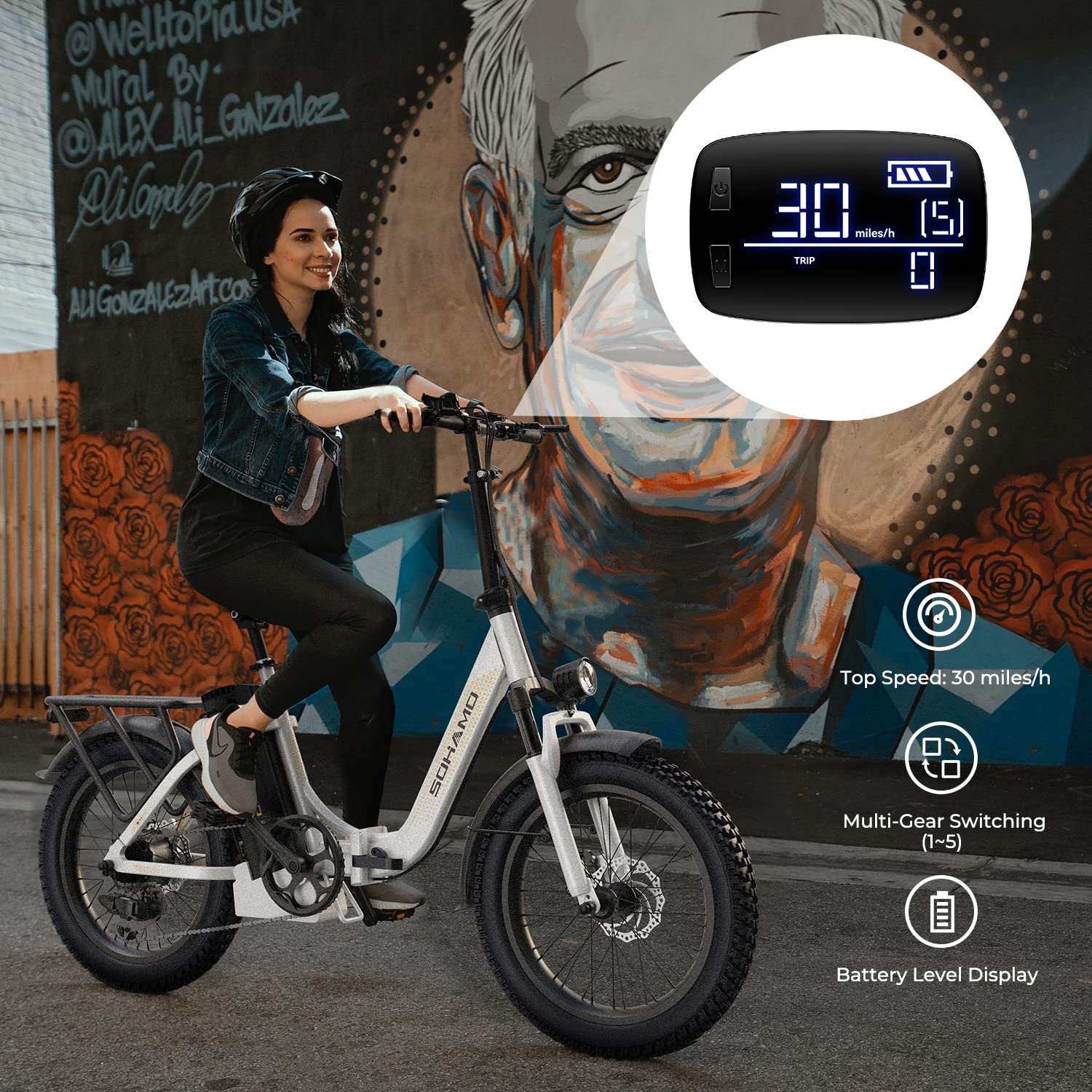 SOHAMO S3 Electric Bike, 750W Brushless Moter, Foldable Electric Bicycles for Adults, 48V 15Ah Removable Battery, Fat Tire 20" Ebike, 28Mph Max Up to 40 Miles, for Women