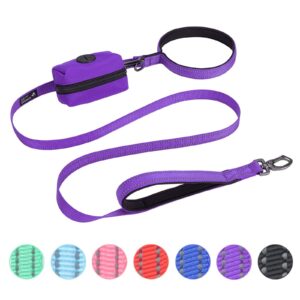 excellent elite spanker strong durable nylon dog training leash traction rope 5 feet long 3/4" wide with poop bag holder for small dogs(purple)