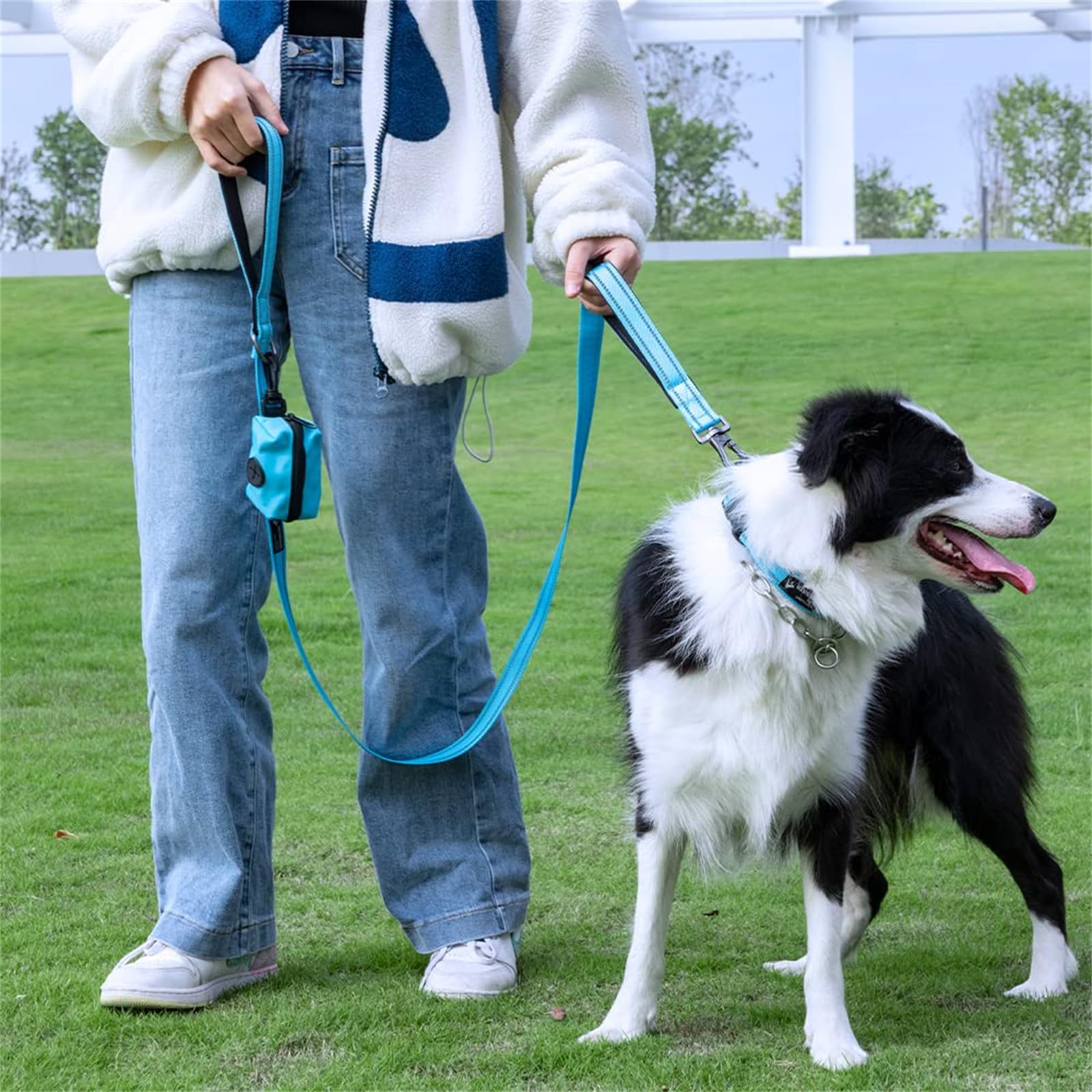 EXCELLENT ELITE SPANKER Strong Durable Nylon Dog Training Leash Traction Rope 5 Feet Long 3/4" Wide with Poop Bag Holder for Small Dogs(Purple)