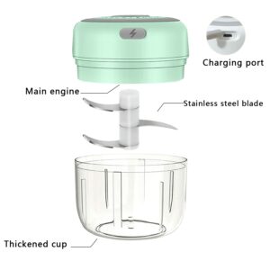 Electric Mini Vegetable Chopper, Food Chopper, Garlic Slicer Veggie, Salad, Lettuce, Onion, Chili Crusher, Tomato Dicer Chopper Cutter & Ginger Meat Mincer for Kitchen, Portable USB Chopper (250ML)