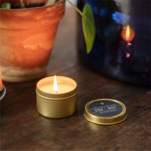 ScentAir- Scented Tin Candle - Apple & Oak