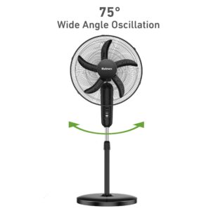 HOLMES 18" Stand Fan, 75° Oscillation, 3 Speeds, 5 Blades, Adjustable Height, 25° Head Tilt, Ideal for Home, Bedroom or Office, Black