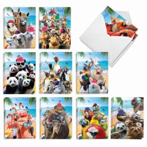 the best card company - 20 assorted blank note cards boxed set 4 x 5.12 inch with envelopes (10 designs, 2 each) wildlife photo ops am10209ocb-b2x10