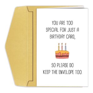 snarky birthday card for friends, funny birthday card gift for him her, rude birthday card, you are too special for just a birthday card