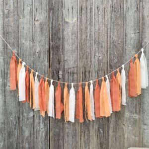 Mybbshower Chiffon Tsaasel Garland for Burnt Orche Coral Peach Orange Wedding Tea Party Hanging Party Decorations Birthday Bridal Baby Shower