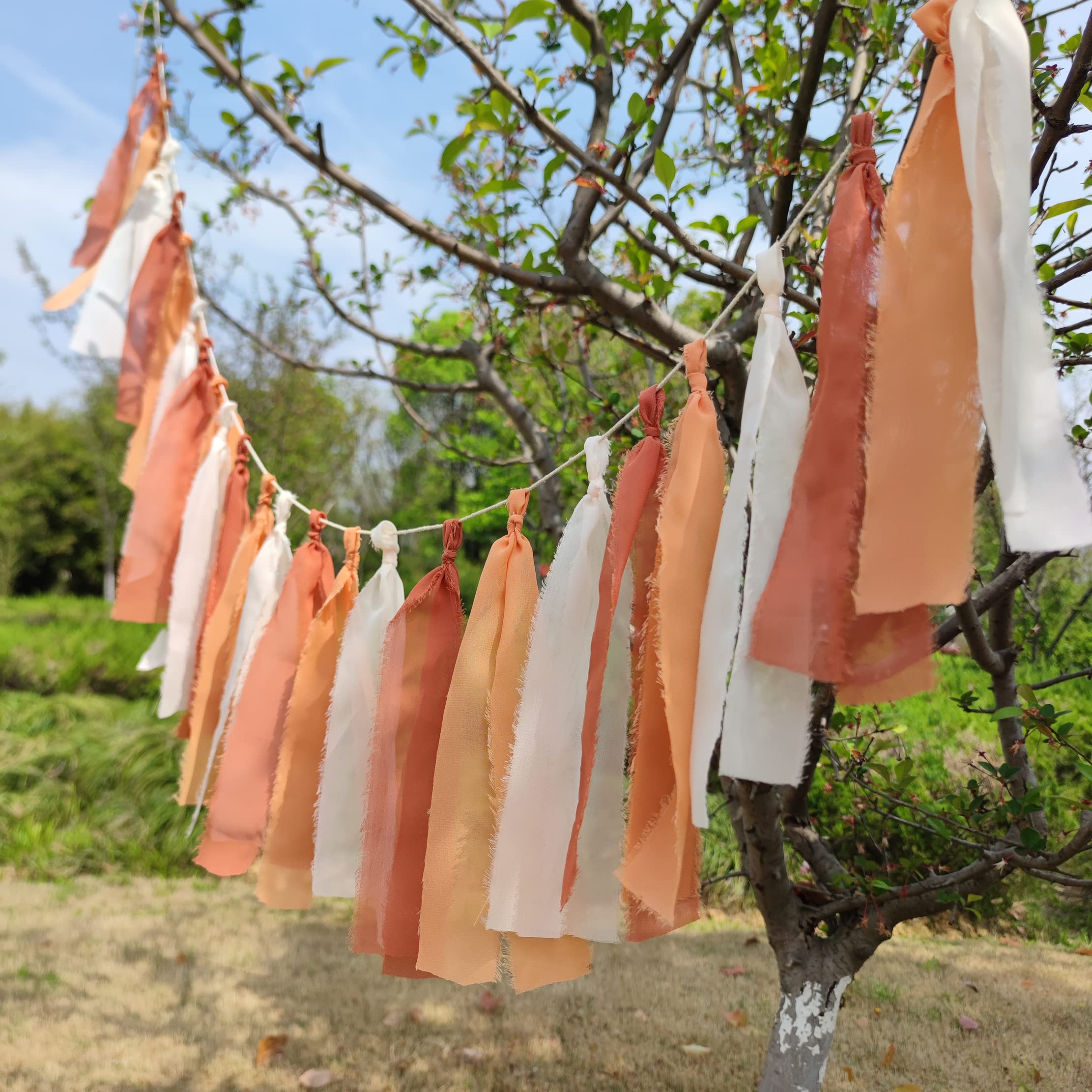 Mybbshower Chiffon Tsaasel Garland for Burnt Orche Coral Peach Orange Wedding Tea Party Hanging Party Decorations Birthday Bridal Baby Shower