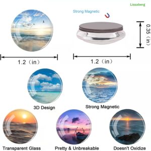 Lissaberg 12 PCS Glass Strong Magnetic Refrigerator Magnets Fridge Sticker - Island Round Glass Fridge Decoration, Office Whiteboard Magnet, Locker Magnet, Cabinet Magnet, Dishwasher Magnet (Island)