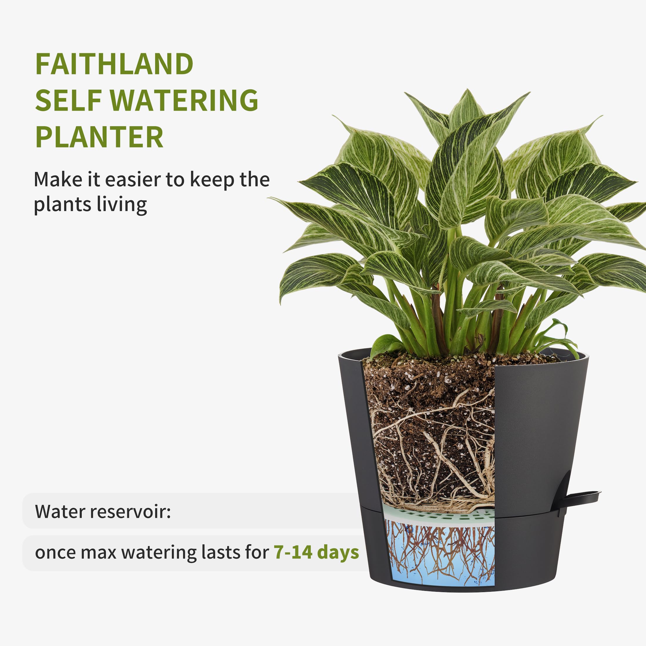 FaithLand 2-Pack 10 Inch Planter Pots for Indoor Outdoor Plants, Self Watering Flower Pots with Deep Reservoir, Black …