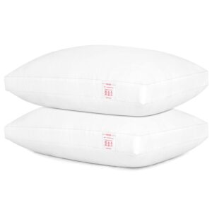 eiue bed pillows for sleeping 2 pack queen size，super soft down alternative microfiber filled pillows,20 x 30 inches,white