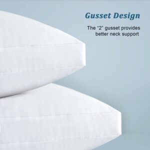 EIUE Bed Pillows for Sleeping 2 Pack Queen Size，Super Soft Down Alternative Microfiber Filled Pillows,20 x 30 Inches,White