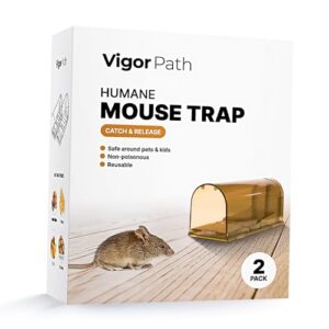 Set of 2 Reusable Mouse Traps | Humane Catch and Release Traps | Best Indoor/Outdoor Solution for Handling Mice and Small Rodents (Brown)