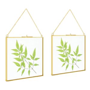 tlbtek 2 pcs 6 inch hanging photo frame, double glass frame for pressed flowers,clear diy vintage artwork display frame wall mounted photos frame