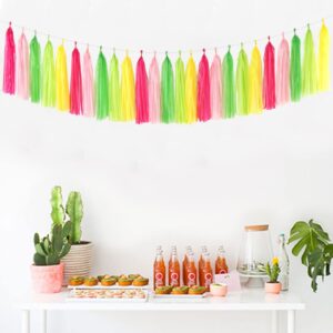 Hawaiian-Themed Pool Party-Decorations Tassel Garland - 25pcs Tropical Jungle Aloha Birthday Streamers,Pink Rose Yellow Green Summer Beach Baby Shower Tassels Banner Backdrop Decor Panduola