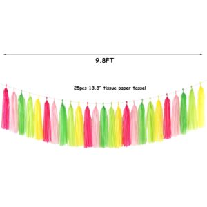 Hawaiian-Themed Pool Party-Decorations Tassel Garland - 25pcs Tropical Jungle Aloha Birthday Streamers,Pink Rose Yellow Green Summer Beach Baby Shower Tassels Banner Backdrop Decor Panduola