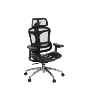 SIHOO Doro C300 Ergonomic Office Chair with Ultra Soft 3D Armrests, Dynamic Lumbar Support for Home Office Chair, Adjustable Backrest Desk Chair, Swivel Big and Tall Computer Chair Black