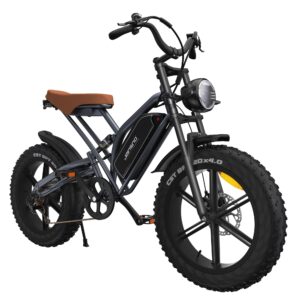 jansno x50 electric bike for adults with powerful 750w brushless motor, long-lasting 48v 14ah battery, 20 inch fat tires, shi-mano 7-speed gear system 26mph snow beach mountain electric bicycle