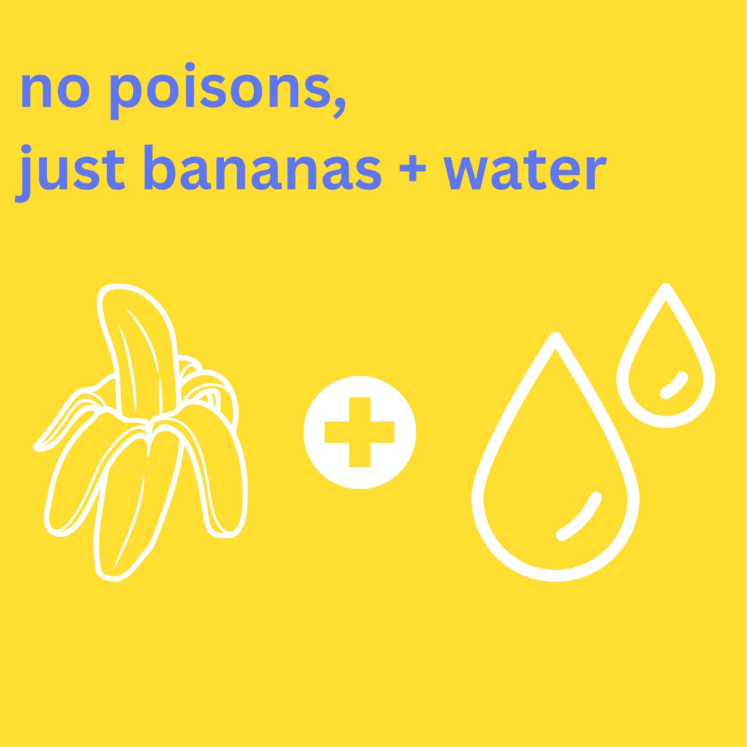 HUMALOGIC Natural Carpet Cleaner Solution | Natural Cleaner Powered by Bananas | Eliminate Dirt, Stains, and Odors Permanently with Nano-technology, Bananas, and Water | No Poisons, No Fragrance