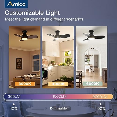 Amico Ceiling Fans with Lights, 30 inch Low Profile Ceiling fan with Light and Remote Control, Flush Mount, Reversible, 3CCT, Dimmable, Noiseless, Black Ceiling Fan for Bedroom, Indoor/Outdoor Use