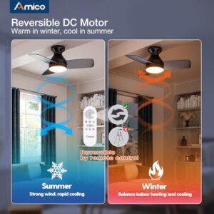 Amico Ceiling Fans with Lights, 30 inch Low Profile Ceiling fan with Light and Remote Control, Flush Mount, Reversible, 3CCT, Dimmable, Noiseless, Black Ceiling Fan for Bedroom, Indoor/Outdoor Use