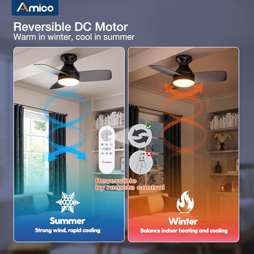 Amico Ceiling Fans with Lights, 30 inch Low Profile Ceiling fan with Light and Remote Control, Flush Mount, Reversible, 3CCT, Dimmable, Noiseless, Black Ceiling Fan for Bedroom, Indoor/Outdoor Use