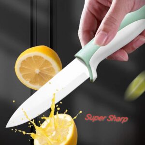 DESIAR Ceramic paring knife 4 inch super sharp ceramic fruit knife, hippo shaped kitchen knife with safety jacket (Green)