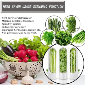 Herb Saver, Herb Keeper for Refrigerator, Cilantro Containers for Refrigerator, Herb Saver Pod, Fresh Herb Keeper for Cilantro, Parsley, Asparagus, Keeps Vegetables for 2-3 Weeks (3PCS Herb Saver)