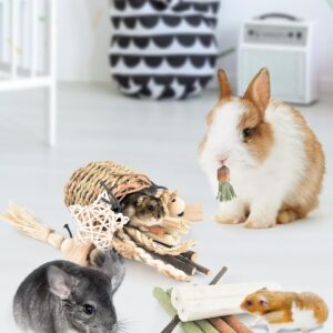 Bissap Bunny Chew Toys, Natural Seagrass Hanging Basket Chews Water Plant Woven Chinchillas Chewing Treats for Rabbits Guinea Pigs Chinchillas Hamsters Rats and Other Small Pets Teeth Grinding Toy