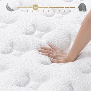 BedStory Queen Size Mattress - 10 Inch Hybrid Mattress Medium Firm - Individually Wrapped Coils for Motion Isolation