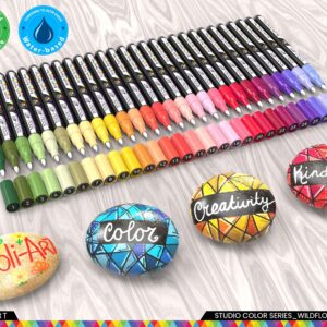 28 Wildflower Colors Acrylic Paint Pens Studio Color Series Markers Set 0.7mm Extra Fine Tip, Rock Painting, Glass, Mugs, Wood, Metal, Canvas, DIY, Detailing. Non Toxic, Waterbased, Quick Drying