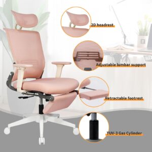 foldable ergonomic office chair with footrest, high back computer chair with 2d headrest, mesh back, sponge seat, adjustable lumbar support, 2d armrest, home office desk chair, pink